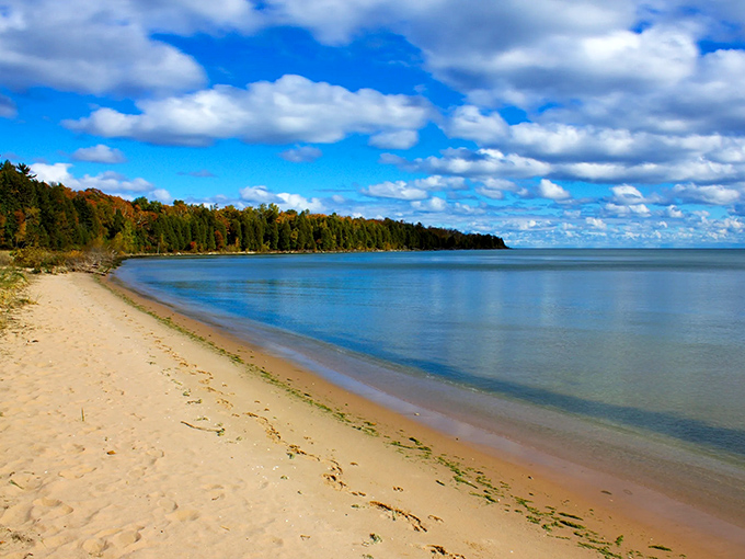 Where pristine shoreline meets untouched forest—Newport's sandy beaches offer the rare luxury of solitude along Lake Michigan's crystal waters.