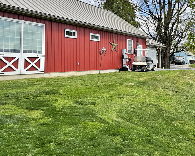 The classic red barn isn't just Instagram-worthy—it's a working dairy sanctuary where Pennsylvania traditions are kept alive one milk bottle at a time.