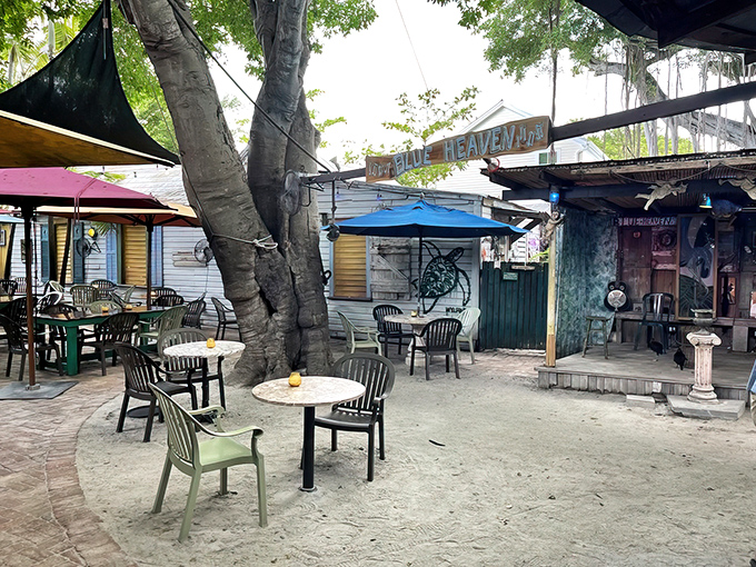 Blue Heaven's outdoor dining area feels like stumbling into a secret tropical garden party where the tables are mismatched and the vibes are perfectly matched.
