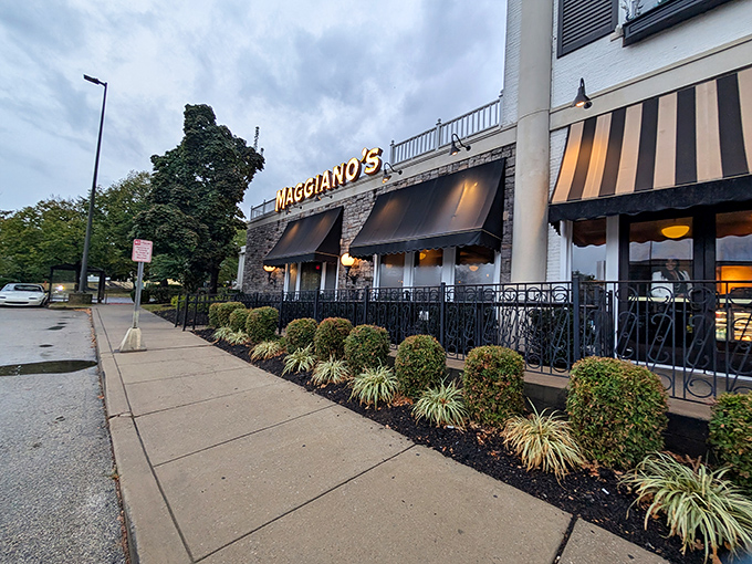 The stately colonial façade of Maggiano's stands like an Italian embassy on Pennsylvania soil, complete with those classic black and tan awnings beckoning you inside.