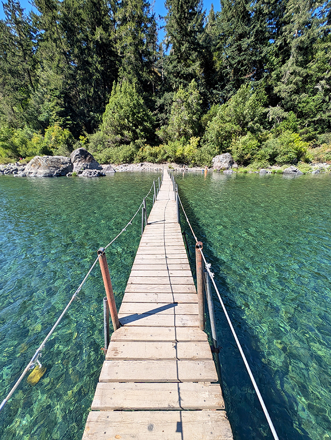 The Smith River cuts through ancient forests like nature's own time machine, offering a glimpse into Earth's prehistoric past with crystal-clear waters and towering sentinels.