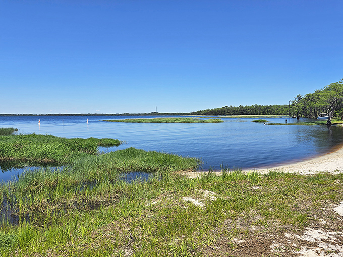 Crystal clear waters meet pristine shoreline at Lake Louisa. Mother Nature showing off her best work without charging theme park prices.