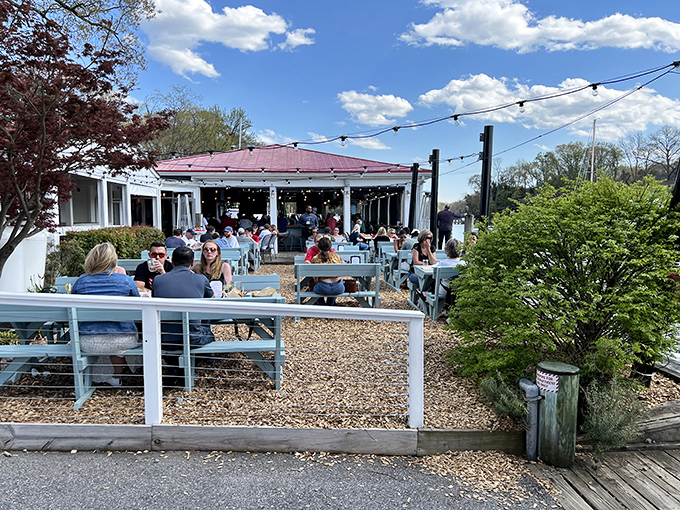 The waterfront patio at The Point offers that rare dining trifecta: fresh air, boat views, and the promise of seafood that was swimming this morning.