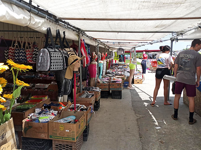 Treasure hunting begins under these shaded canopies, where one person's castoffs become another's must-haves. The thrill of the find is universal.