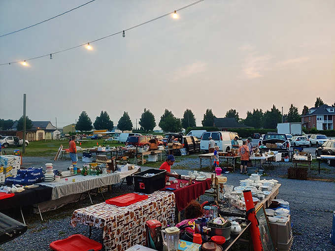 Dawn at Root's transforms an ordinary parking lot into a treasure hunter's paradise. String lights overhead promise discoveries waiting in the golden morning light.