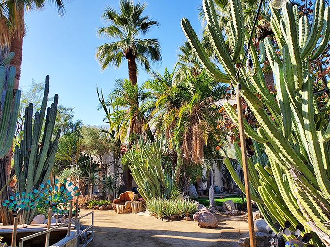The winding path feels like a choose-your-own-adventure trail—except instead of dragons or wizards, you’re dodging the occasional spiny arm of a very enthusiastic agave.