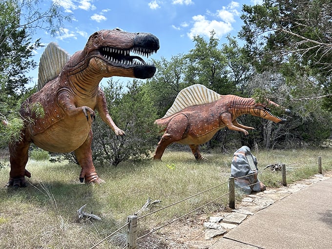 Two gentle giants welcome visitors at the entrance, standing like prehistoric gatekeepers guarding a Jurassic wonderland.