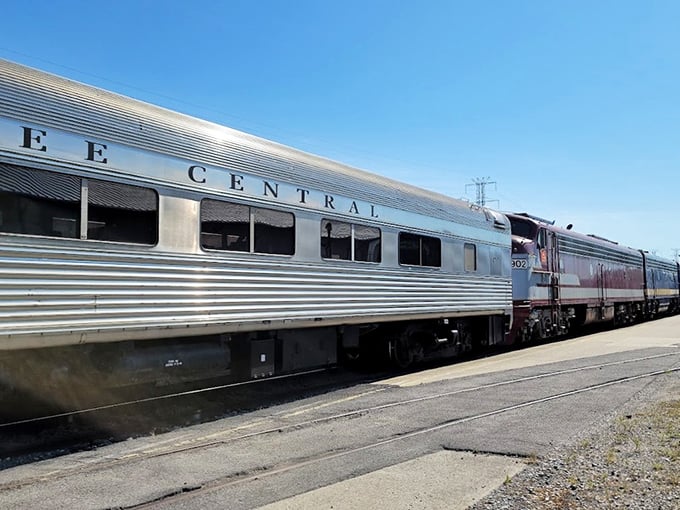 Silver carriages gliding through emerald Tennessee countryside – a moving postcard that makes you forget the modern world exists.