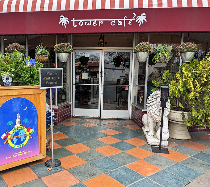 Stone lions and lush greenery stand guard at Tower Café's entrance, like bouncers at the world's most welcoming global food party.
