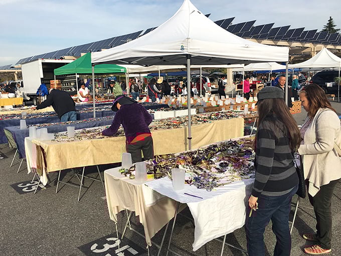 Blue skies and bargain hunters unite under solar panel canopies, where treasure hunting becomes an Olympic sport every first Saturday of the month.