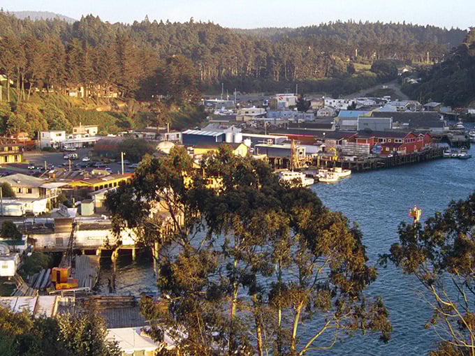 Downtown Fort Bragg captures that perfect small-town coastal vibe—historic buildings with character, not a chain store in sight, and that magical Northern California light.