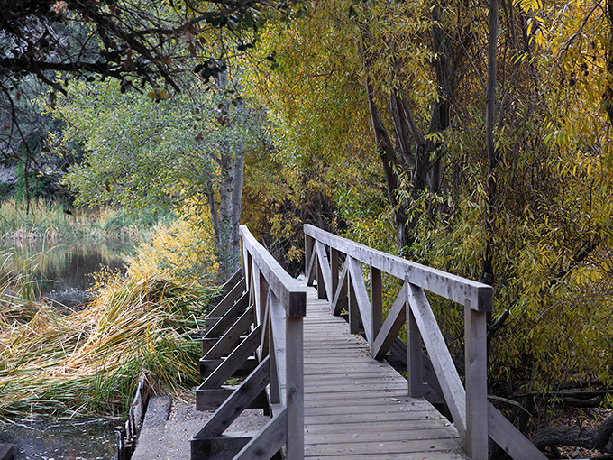 A wooden footbridge beckons you into nature's embrace, where autumn colors dance overhead like Mother Nature's own light show.