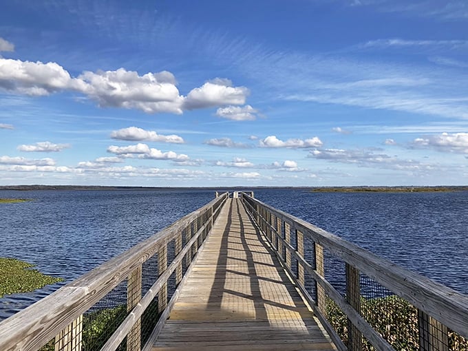 The boardwalk stretches toward infinity, inviting you to walk on water through a sea of lily pads. Florida's version of a red carpet, minus the paparazzi.