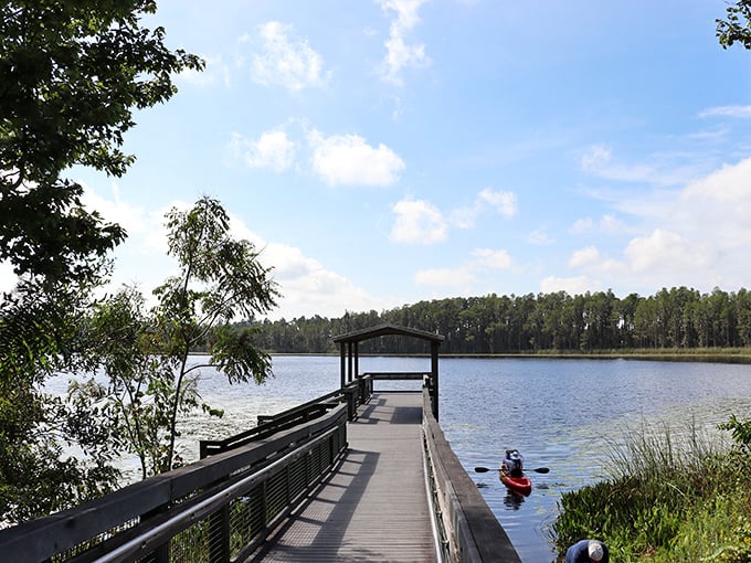 Crystal clear waters meet pristine shoreline at Lake Louisa. Mother Nature showing off her best work without charging theme park prices.