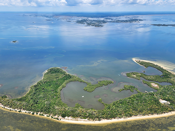 Cedar Key from above looks like nature's watercolor palette – emerald islands dotted across azure waters, far from Florida's tourist crowds.