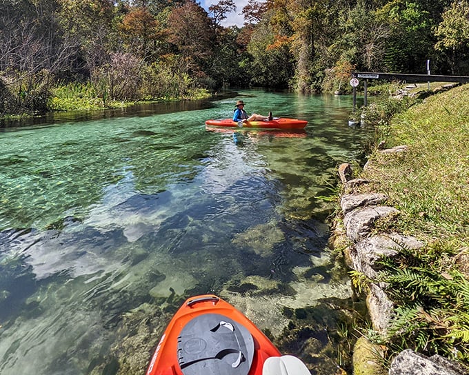 Crystal-clear waters invite kayakers into nature's own infinity pool. The spring's remarkable clarity makes you wonder if someone secretly Windexed the entire river overnight.