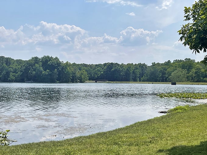 Lake Lincoln shimmers like nature's mirror, reflecting both sky and forest in a display that would make even Bob Ross reach for his happy little brushes.