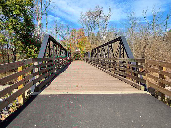 Nature's masterpiece unfolds at Evansburg State Park, where Pennsylvania's beauty reaches cinematic proportions.