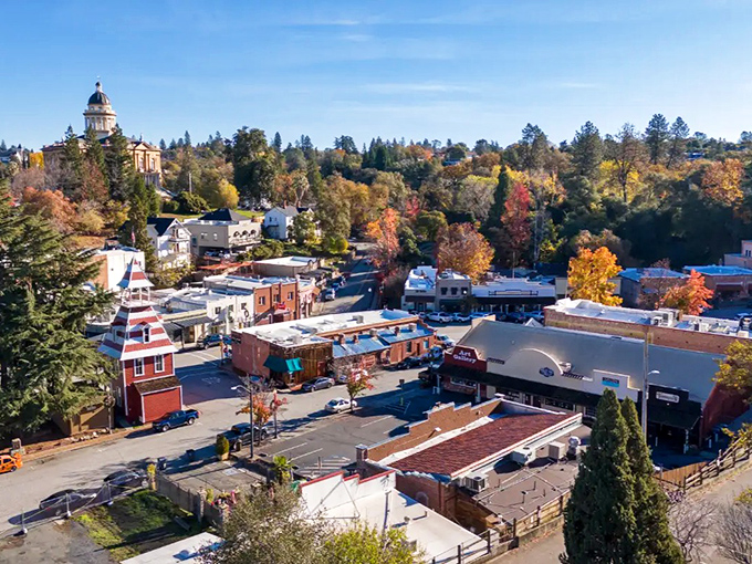 Auburn's historic downtown unfolds like a storybook, with the iconic courthouse dome watching over brick buildings and autumn-painted trees—small-town charm with big personality.