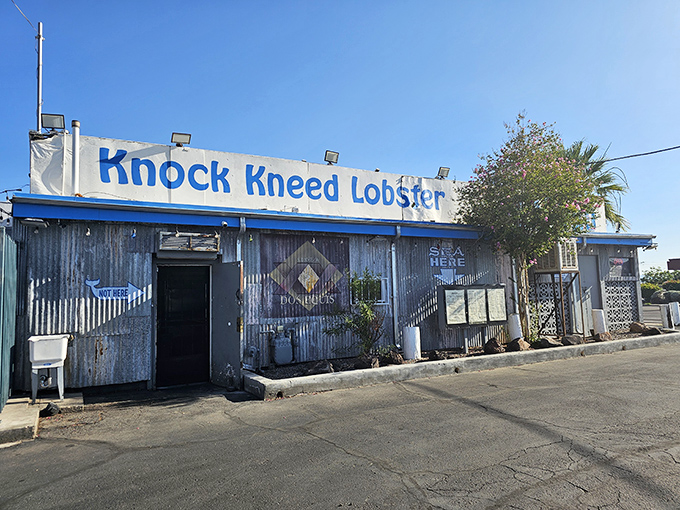 The unassuming exterior of Knock Kneed Lobster stands as a testament to the age-old truth: never judge a seafood joint by its corrugated metal siding.