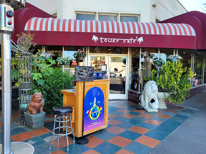 Stone lions and lush greenery stand guard at Tower Café's entrance, like bouncers at the world's most welcoming global food party.