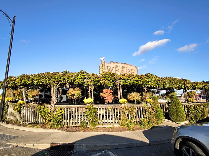 Nature's slowly reclaiming this maritime treasure, with vines embracing the weathered sign like old friends reuniting at a high school reunion.