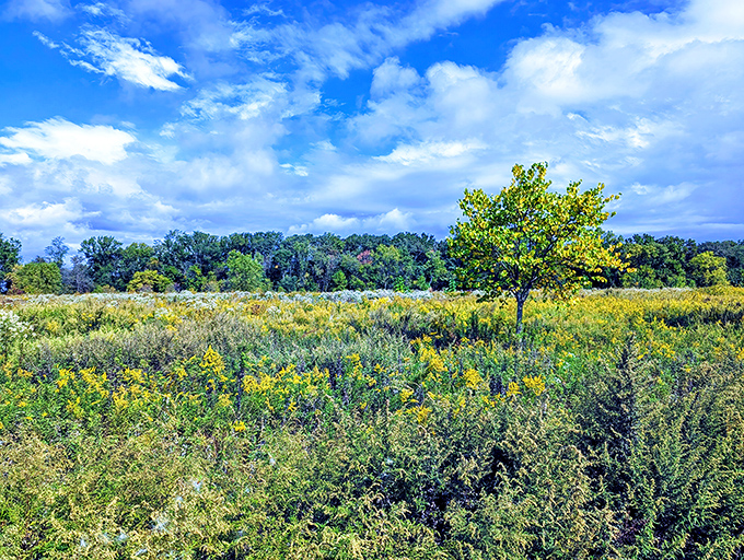 The unassuming entrance to Benjamin Rush State Park stands like a quiet invitation to one of Philadelphia's best-kept natural secrets.