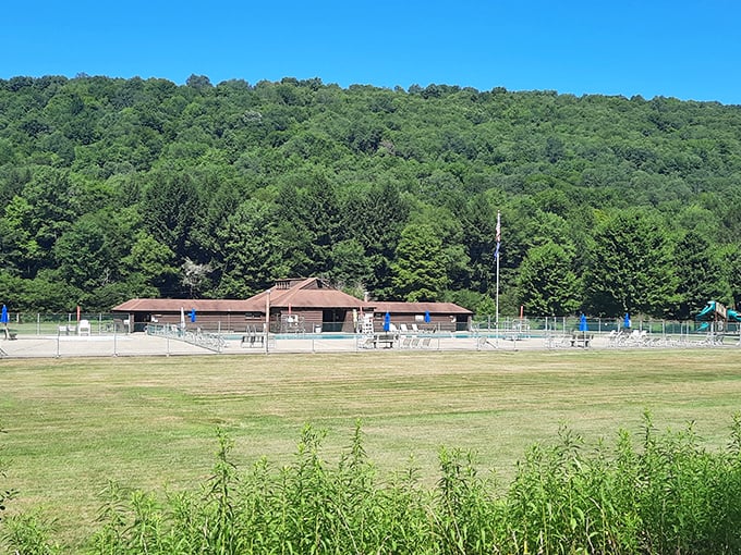 The park's rustic pavilion and swimming pool area nestled against a lush green hillside – nature's version of a five-star resort, minus the overpriced minibar.