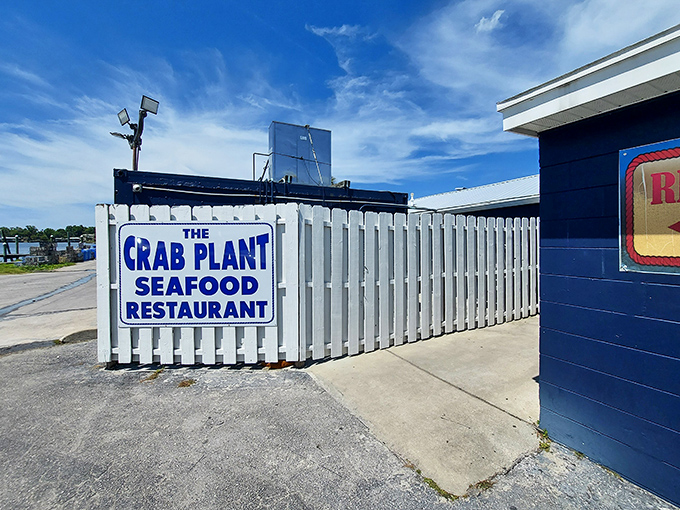 No fancy facades here—just the promise of seafood excellence hiding behind a humble white exterior. Florida's best-kept secret stands unassumingly in Crystal River.