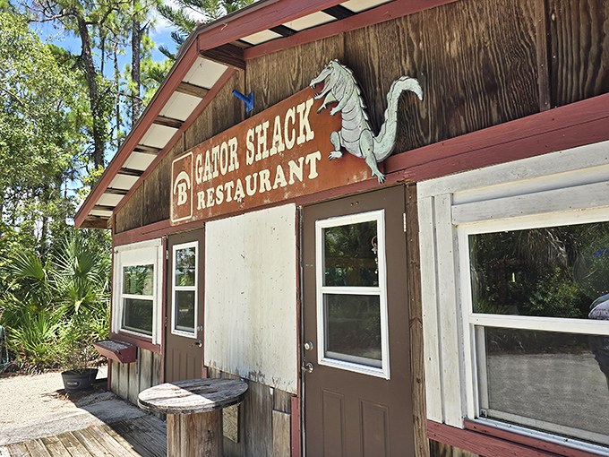 The rustic wooden exterior of The Gator Shack promises authentic Florida cuisine without pretension. That alligator sign isn't just decoration—it's a delicious preview.