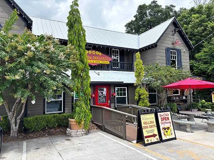 The unassuming exterior of Yellow Dog Eats hides culinary treasures within. This charming converted house in Windermere promises BBQ adventures beyond your wildest meat dreams.