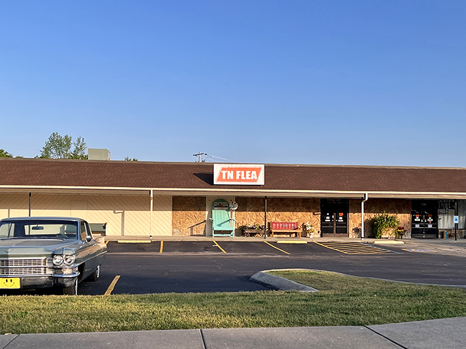 This unassuming storefront holds more treasures than a pirate's chest – and better parking too.
