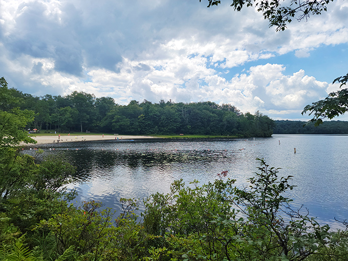 Nature's perfect postcard moment: a bench, a picnic table, and a glistening lake that reflects the sky like it's showing off for company.