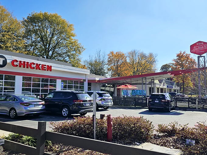 The former gas station's transformation into a hot chicken haven is architectural poetry—white walls with bold red accents promising fiery delights within.