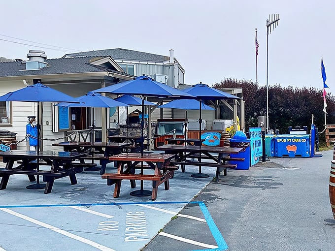 The blue umbrellas and picnic tables outside Spud Point Crab Company aren't just seating—they're front-row tickets to the freshest seafood show in Bodega Bay.