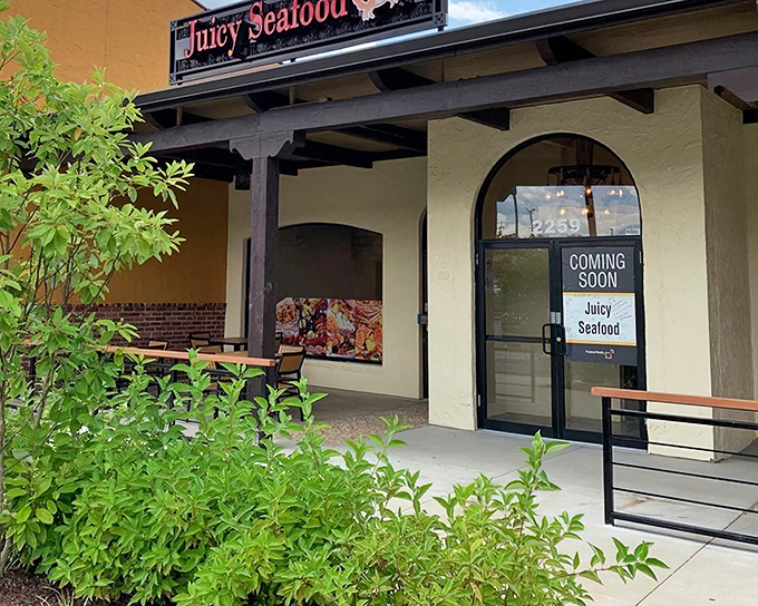 The glowing red sign of Juicy Seafood beckons like a lighthouse for hungry sailors. This unassuming exterior houses seafood treasures worth discovering.