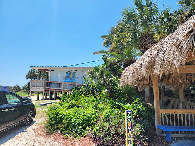 Where thatched roofs meet turquoise waters—the Blue Parrot's beachfront entrance promises Florida coastal dining without a hint of pretension.