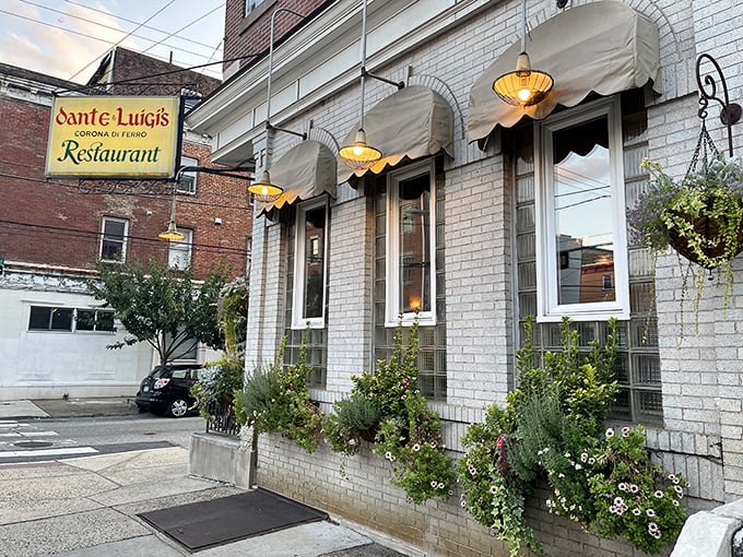 The classic white brick façade with signature awnings whispers "old-school Italian" before you even step inside. Philadelphia's culinary time machine awaits.
