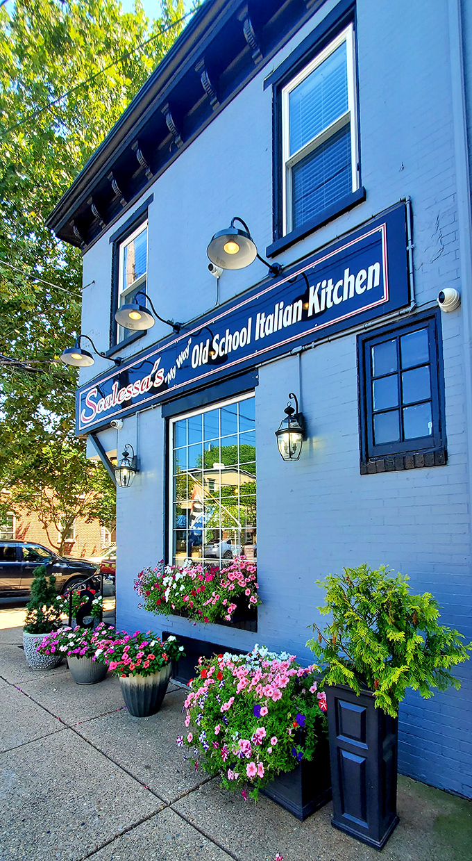 The blue brick exterior of Scalessa's isn't just charming—it's a beacon of culinary promise with those flower boxes practically shouting, "Good food happens here!"
