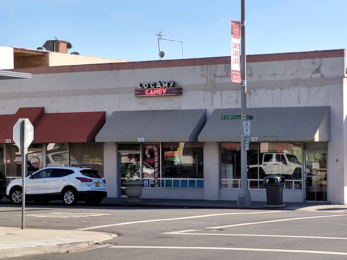 The unassuming storefront hides a wonderland of sweetness, like finding Narnia in a strip mall.