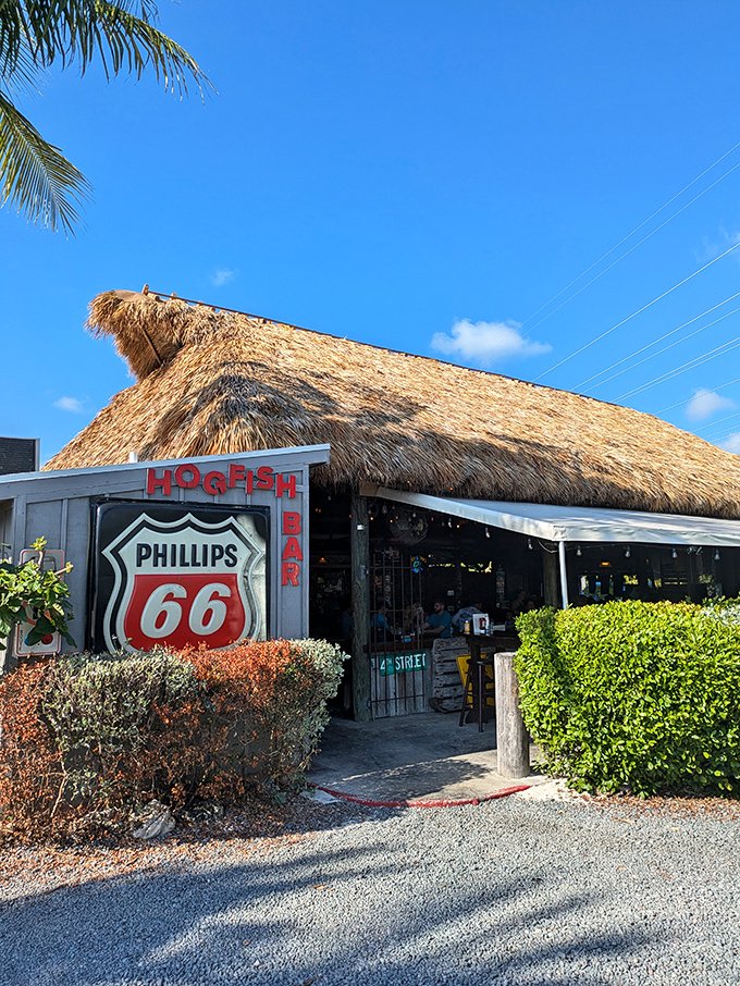 The unassuming entrance to Hogfish Bar & Grill feels like discovering a secret clubhouse where the password is "fresh seafood."