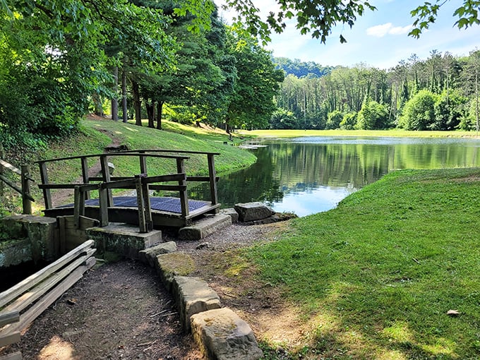 Welcome to Ohio's best-kept secret, where nature wrote the guidebook and forgot to tell anyone.