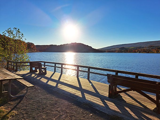 A rustic wooden observation deck beckons visitors into the wilderness, promising views that no smartphone screen could ever do justice. 