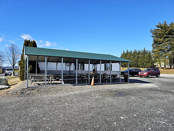 The unassuming white exterior of The Apple Bin might not scream "culinary destination," but that's exactly how hidden gems work their magic.