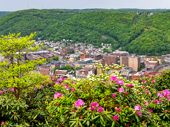 Perched above the valley, Johnstown unfolds like a storybook town nestled between emerald hills, with the famous Inclined Plane offering the best seats in the house.