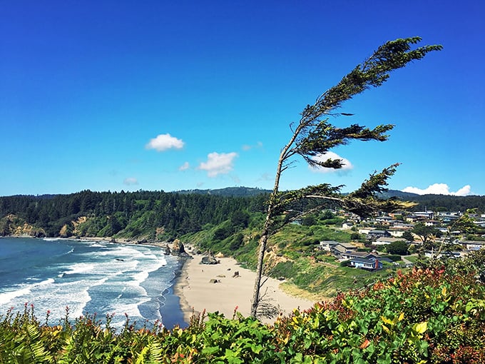 Nature's wind sculpture meets coastal paradise – Trinidad's dramatic shoreline offers the kind of views that make you forget your phone password mid-photo.