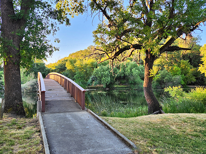 Nature's own welcome mat: this wooden footbridge invites you into a world where oak trees whisper secrets and sunlight dapples the calm waters below.