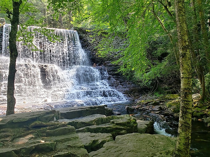 Nature's perfect staircase cascades down moss-covered rocks. At Hickory Run's waterfalls, the soundtrack is pure, rushing Pennsylvania wilderness.