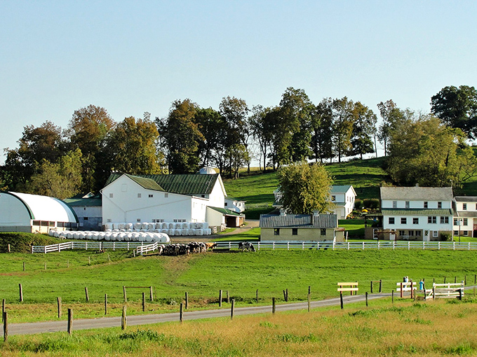 Rolling hills, white barns, and emerald pastures – Charm, Ohio isn't just well-named, it's a postcard come to life in Holmes County.