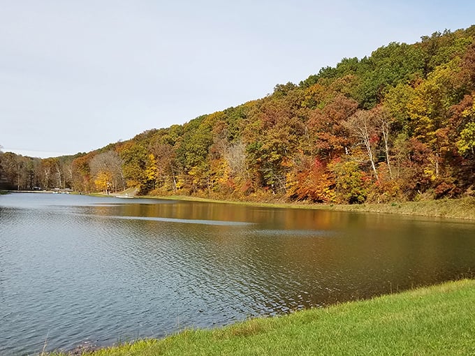 A rustic shelter nestled among autumn's fiery display. Nature's five-star accommodations with the best seasonal color scheme money can't buy.